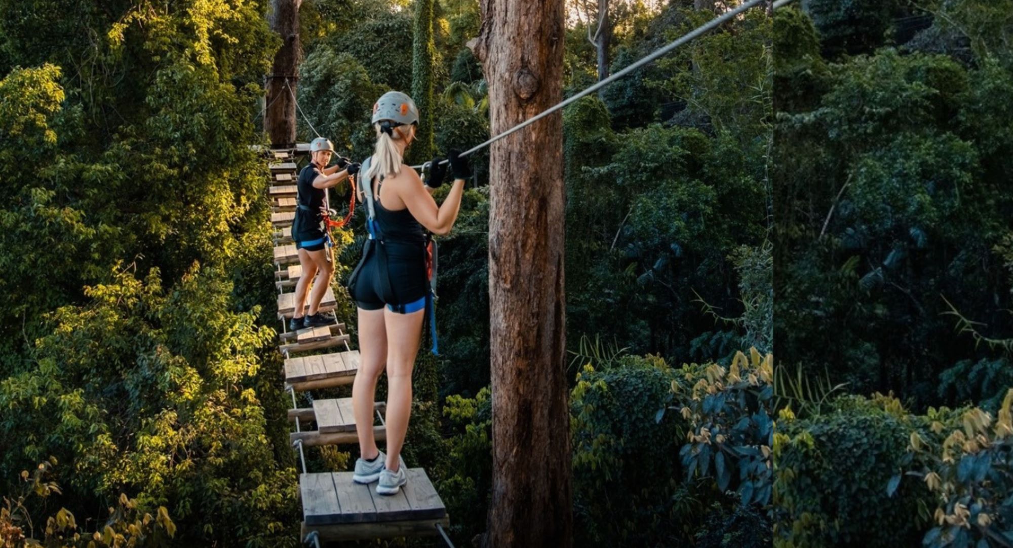 Team Building Activities Adventures Mt Tamborine Cedar Creek Lodges team-building-activities-adventures-mt-tamborine-cedar-creek-lodges